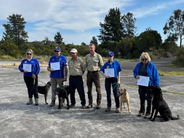 About Search and Rescue Dogs | SARDA